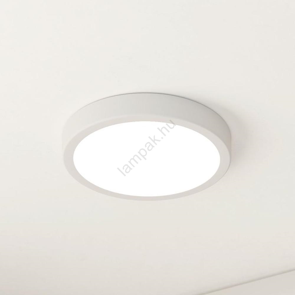 Eglo 900654 - LED Fürdőszobai mennyezeti lámpa FUEVA LED/17W/230V fehér ...
